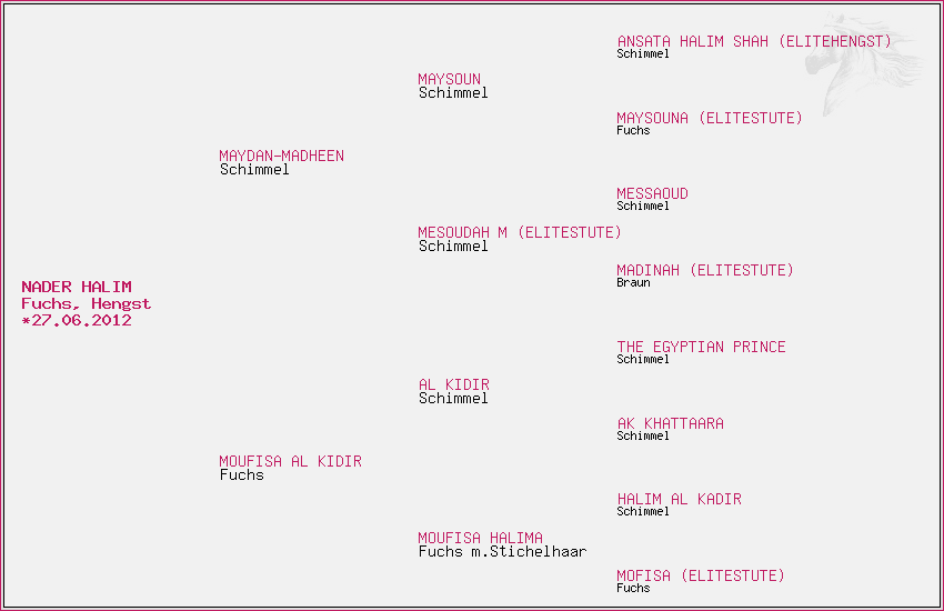 Nader Halim – El Thayeba